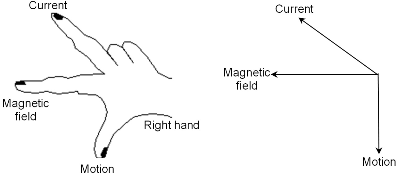 Electromagnetic Induction | Fun Science